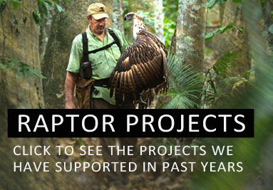 4 Tips for Keeping Your Raptor Healthy Year-Round - Mike's Falconry ...